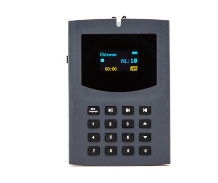 Automatic audio guide system